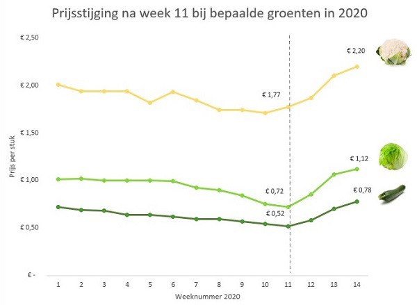 Prijsstijging ijsbergsla bij supermarkten na week 11