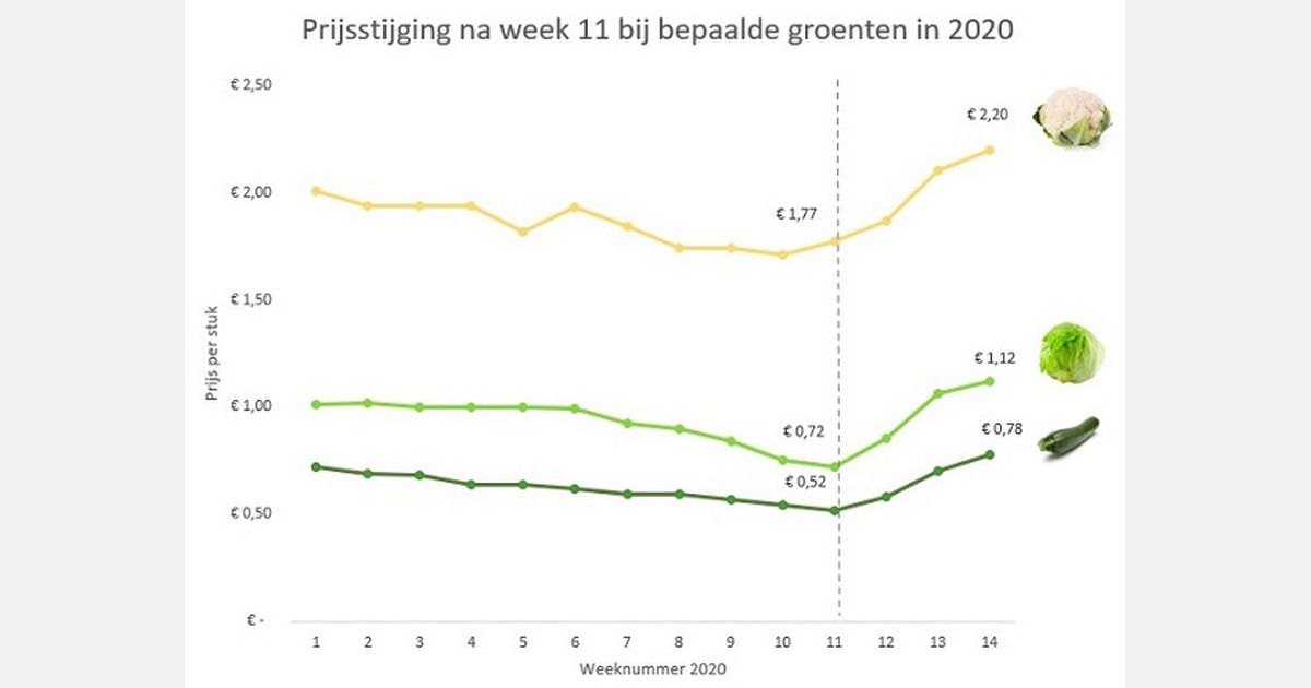 Prijsstijging ijsbergsla bij supermarkten na week 11