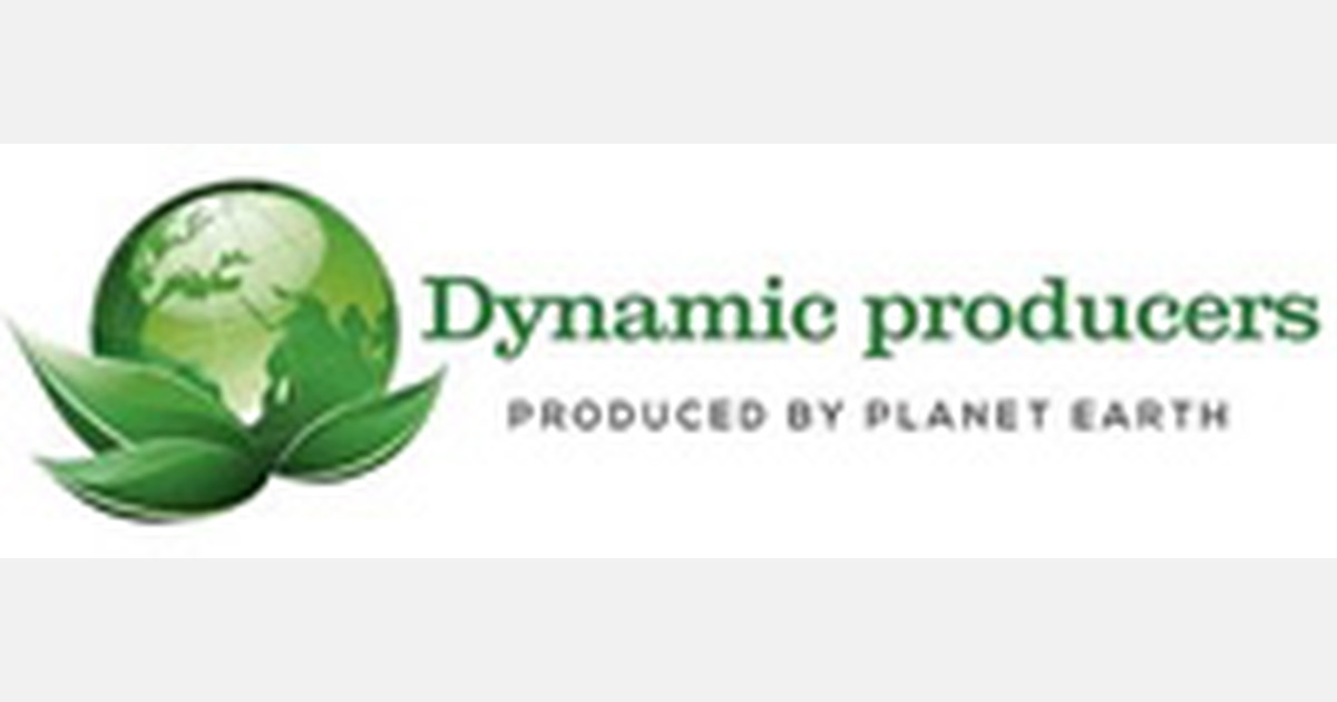 Dynamic Producers failliet verklaard