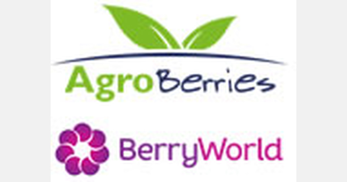 Agroberries verwerft aandelen in BerryWorld