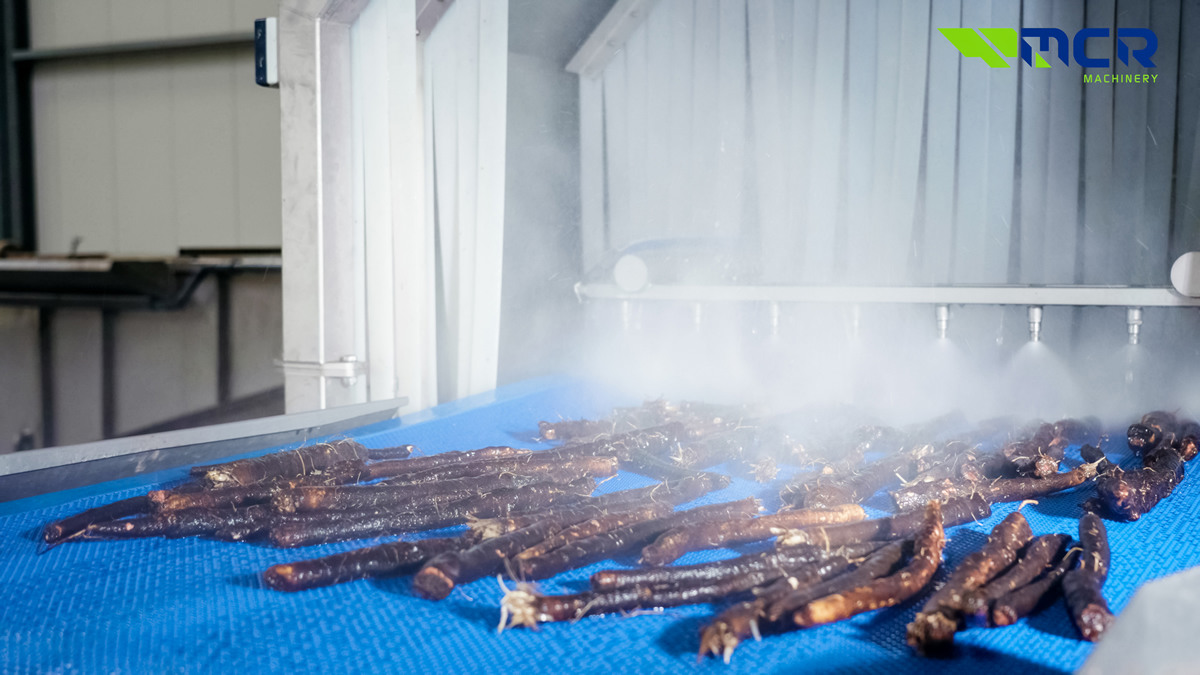 "Met deze techniek kunnen we zelfs kwetsbare producten als paprika’s en aardbeien grondig reinigen"