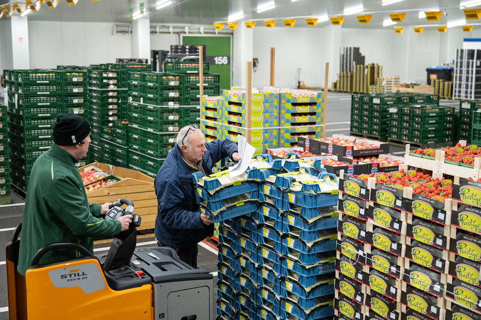 FruitMasters realiseert +€300 mln omzet