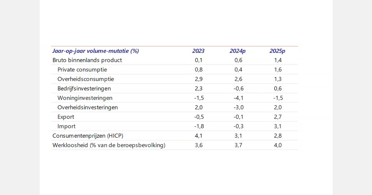 "Na hobbelig groeipad volgt gematigde groei Nederlandse economie"