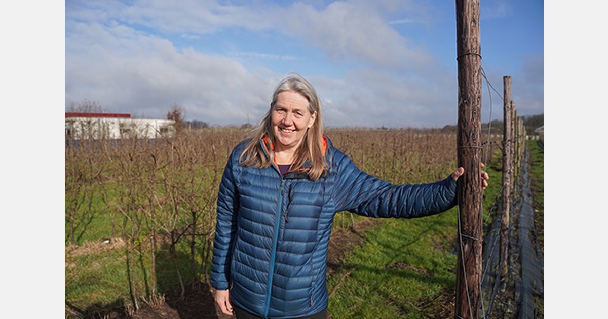 "Groen is mooi, maar zonder chemie gaan we het echt niet redden"