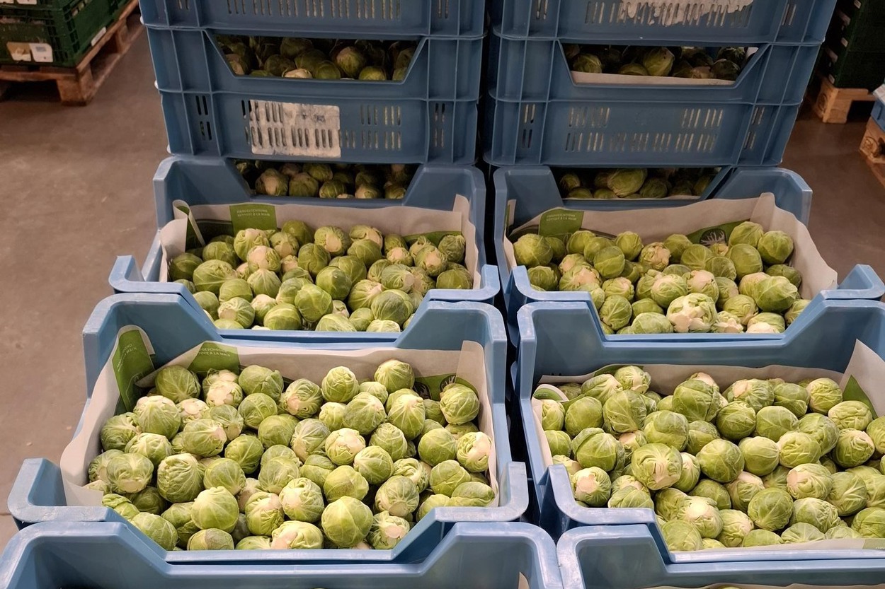 "De pijnlijke waarheid is dat er geen verbetering komt bij ...