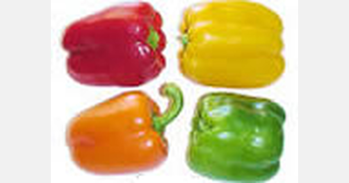 Pakistan legt de rode loper uit voor importeurs