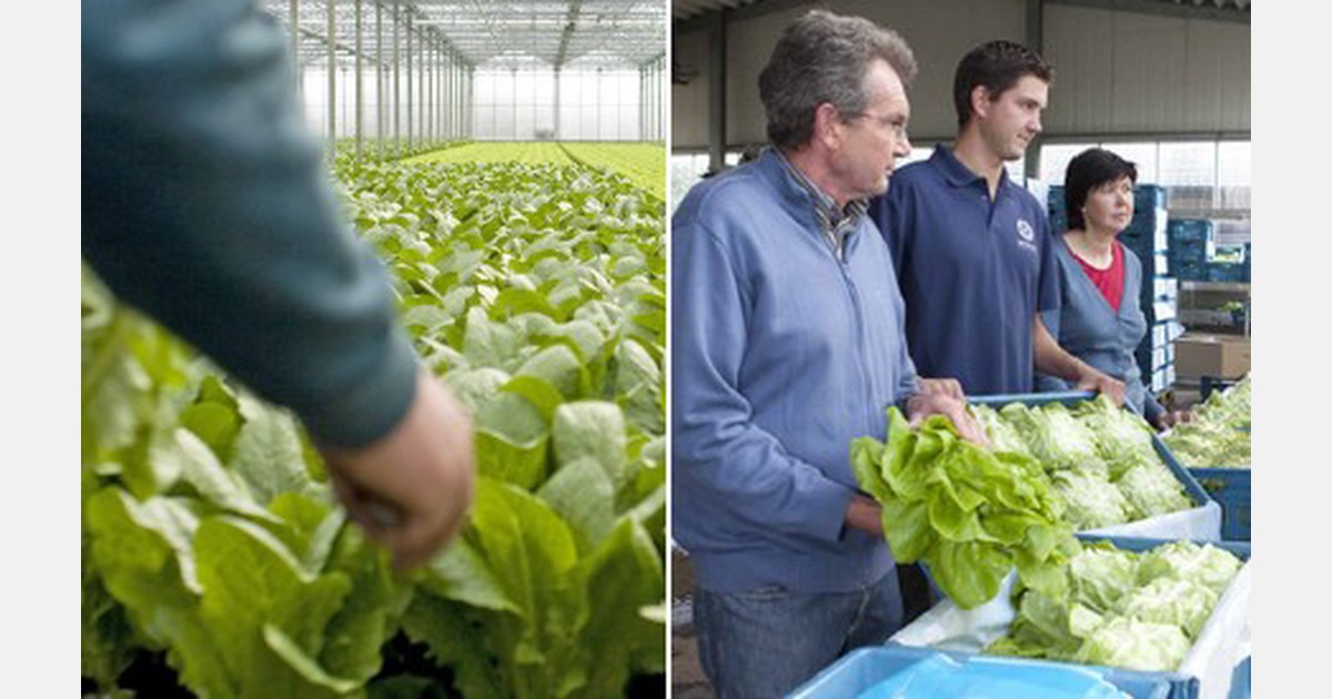 Kassla: telen na de kortste dag