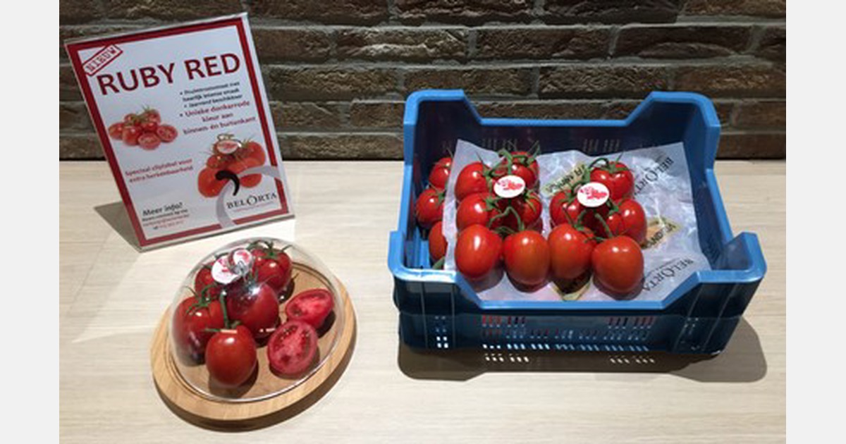 Nieuwe pruimtrostomaat Ruby Red