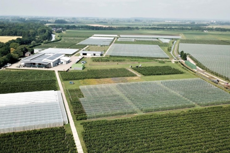 Open dag Proeftuin Randwijk: 15 augustus