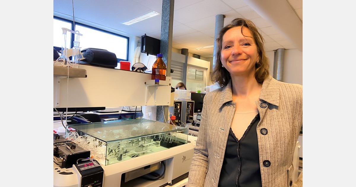 Kritische blik tilt hygiëne naar hoger plan