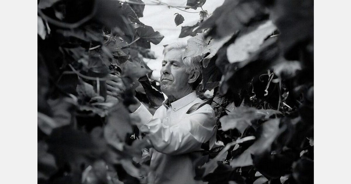 In Memoriam Peter Koppert