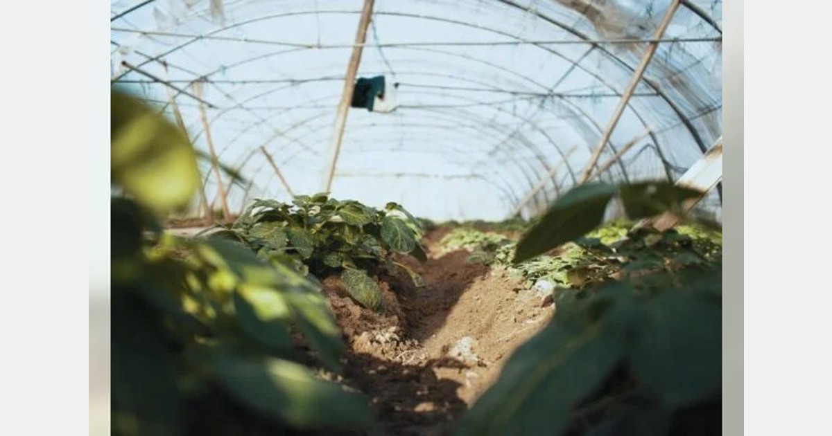 Europees Parlement zet seinen op groen voor CRISPR-Cas