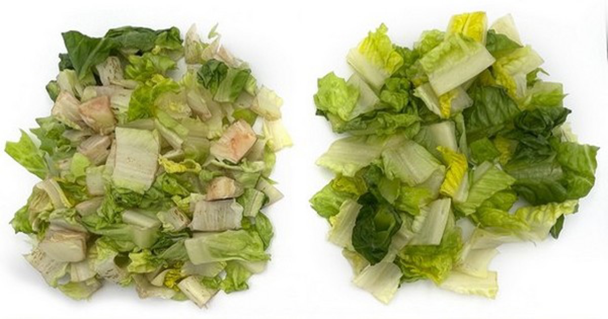 Een einde aan bruinkleuring van sla