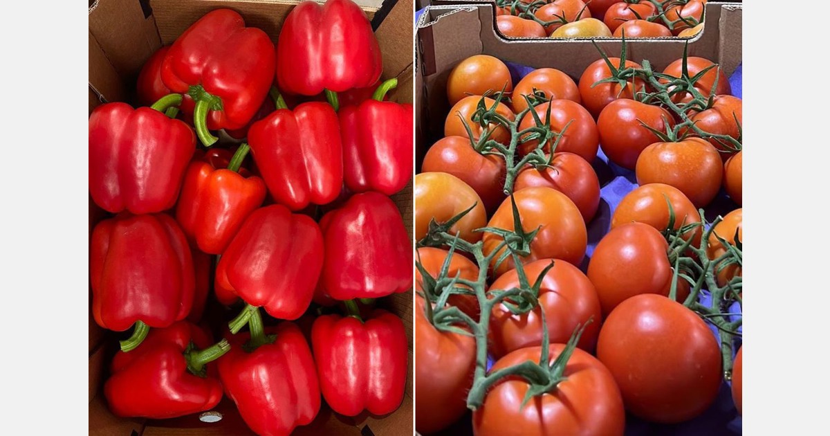 "Stijging in de verkoop van tomaten en courgettes"