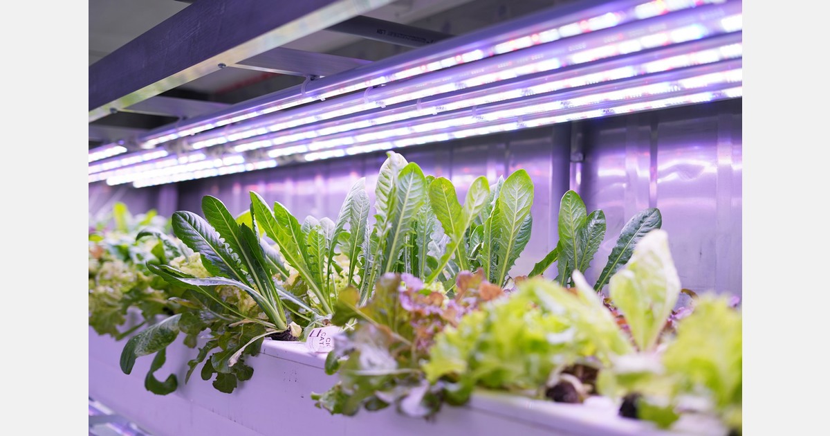 Drie nieuwe LED-producten mee naar GreenTech