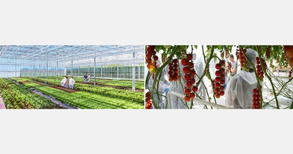 BASF Vegetable Seeds op GreenTech én op Tour