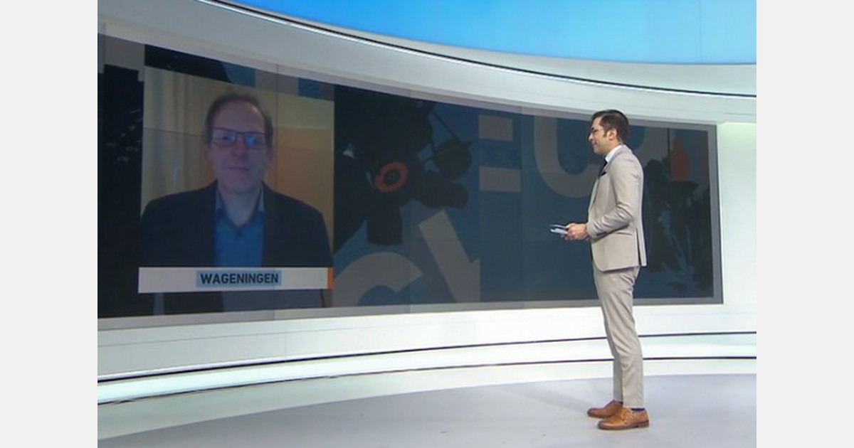 Leo Marcelis bij Al Jazeera over vertical farming