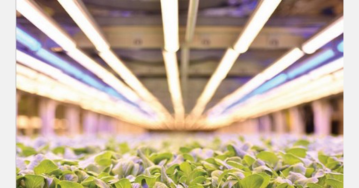 "Dit wordt onze meest geavanceerde R&D farm tot nu toe"