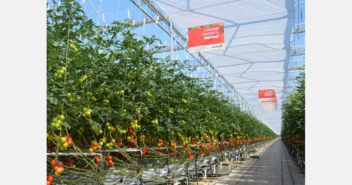 BASF Vegetable Seeds versnelt datagestuurd veredelen