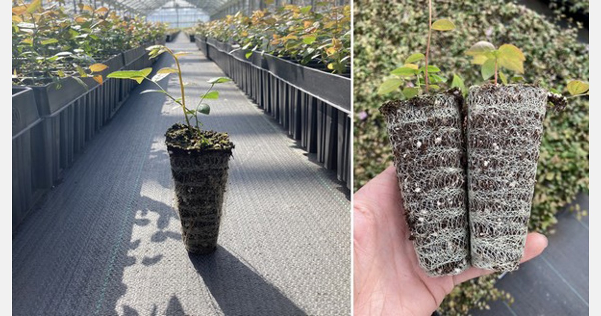 Growcoon maakt opmars in zachtfruit