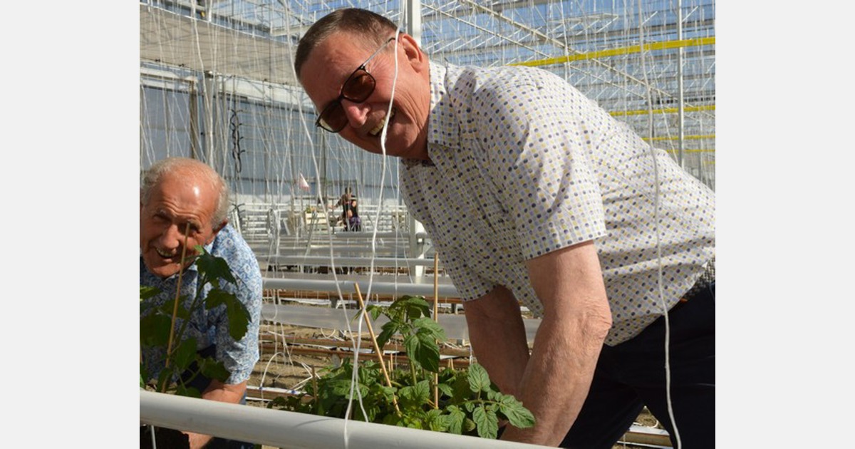 Eerste planten de kas in bij bio-teler Vitensa