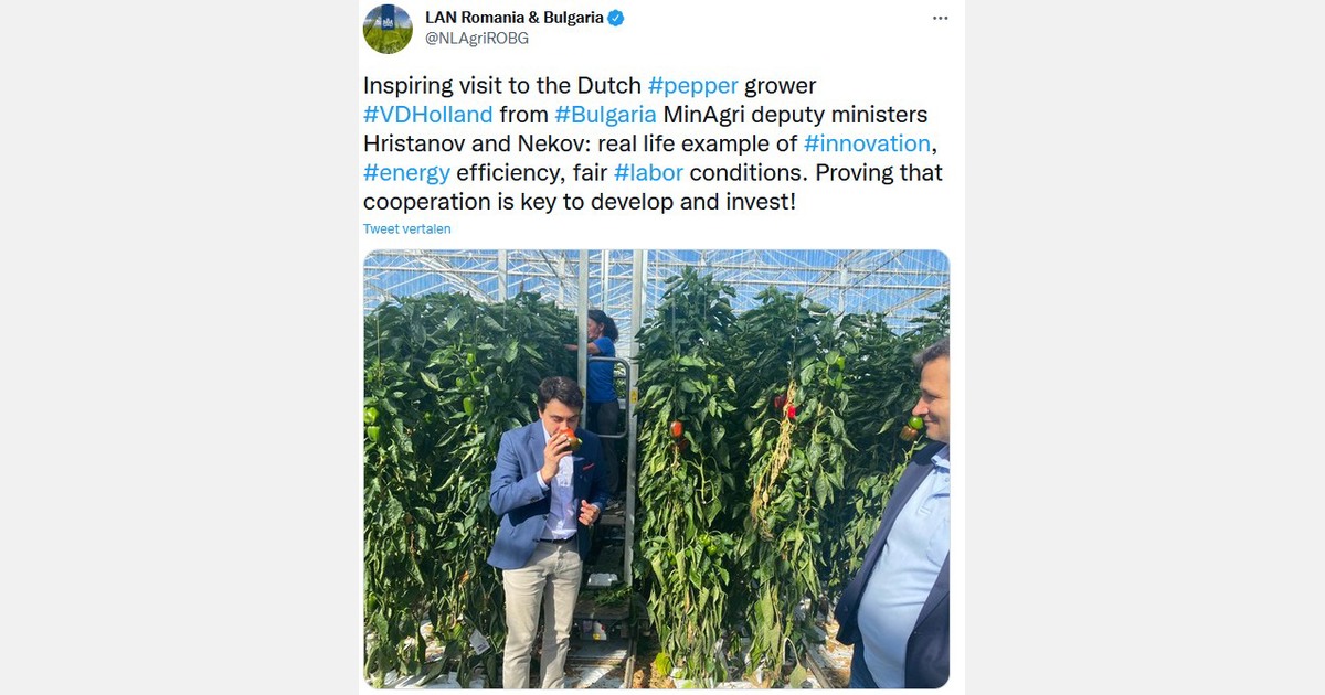 LAN Romania & Bulgaria