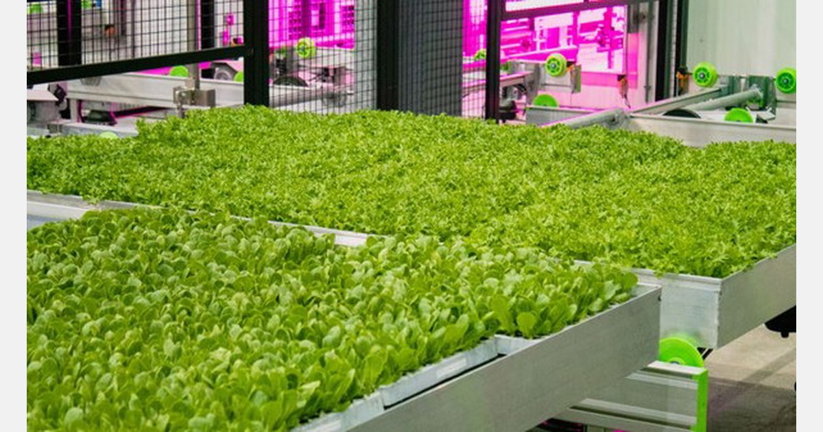 "Onze vroege R&D-ontwikkeling draaide om licht en spectrum"