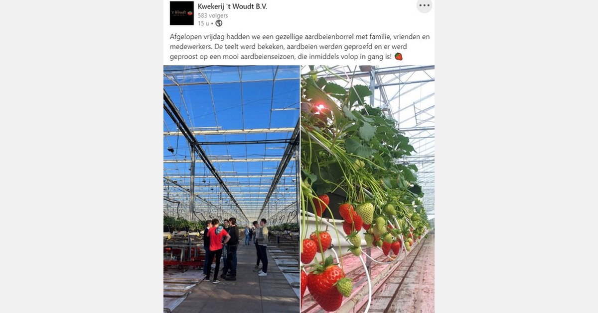 Kwekerij 't Woudt B.V.