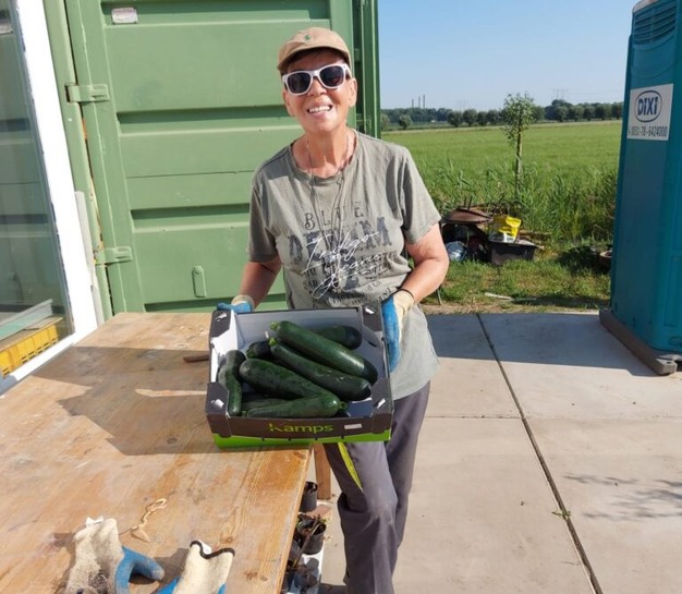 Kratten vol onbespoten groente van Voedseltuin naar Voedselbank