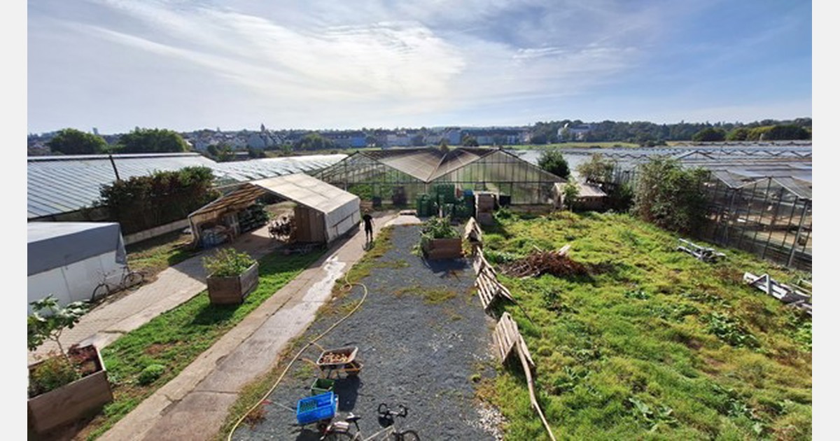 Die Kooperatieve uit Duitsland teelt groentes in onverwarmde kas