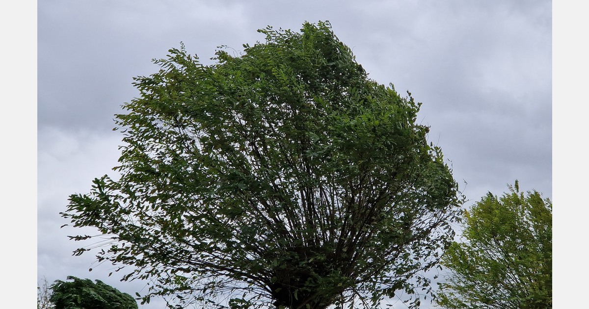 Nederland springt bij in Frankrijk na storm Ciarán