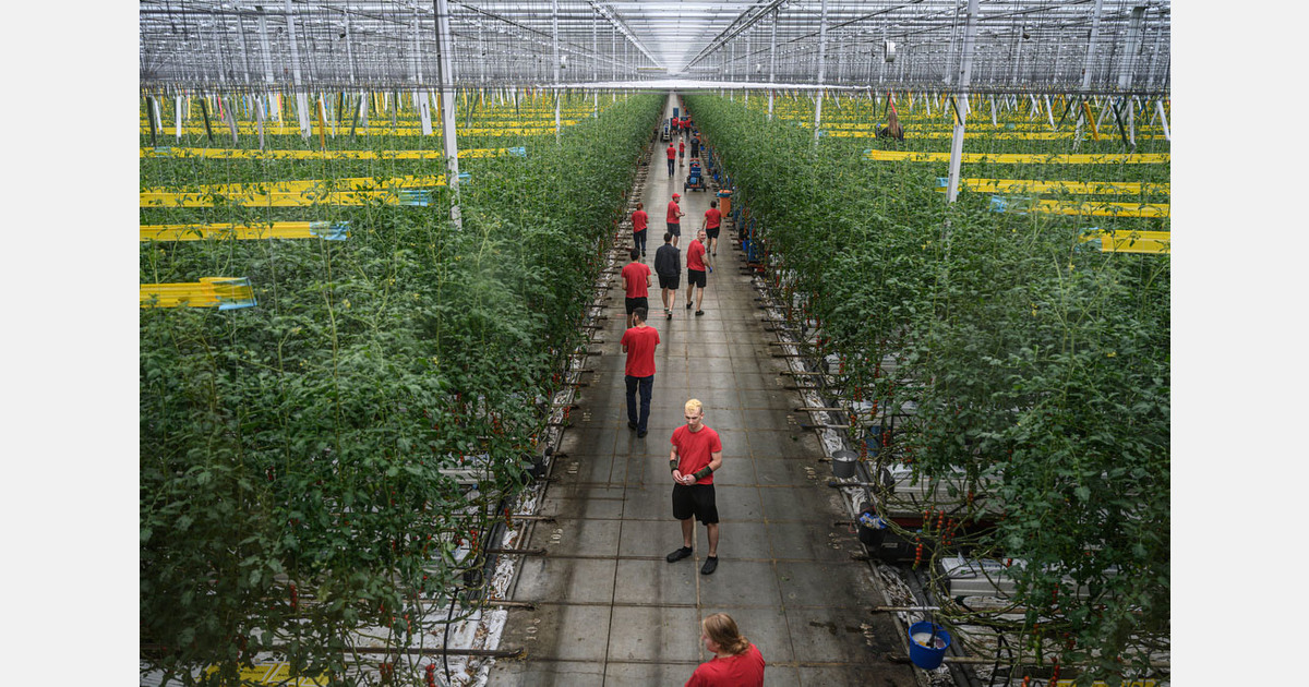 Tentoonstelling over verborgen wereld achter voedsel