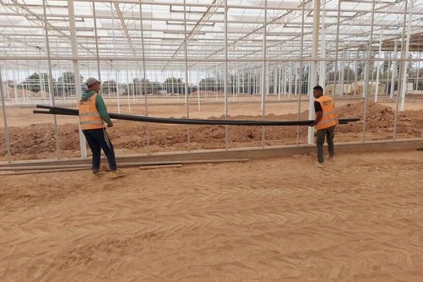 Nederland helpt bij verduurzamen Marokkaanse tuinbouw