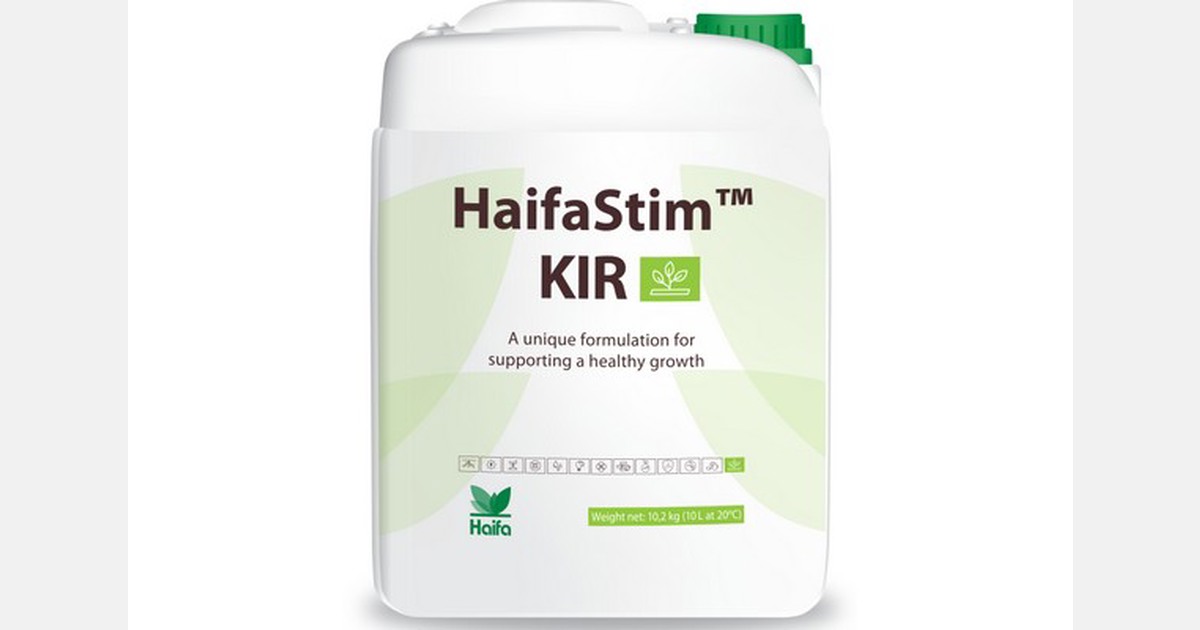 Haifa Group presenteert HaifaStim KIR