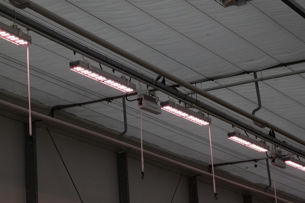 Heliospectra betrekt kantoor in Nederland