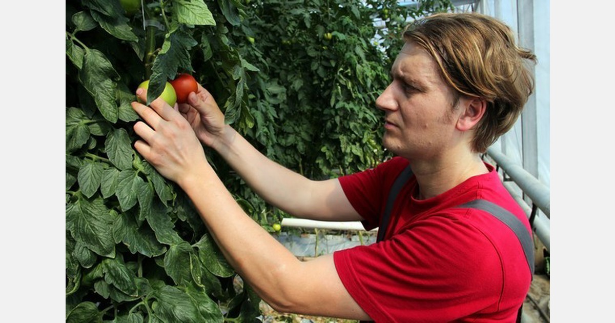 Subsidie voor duurzame inzetbaarheid en eerder uittreden