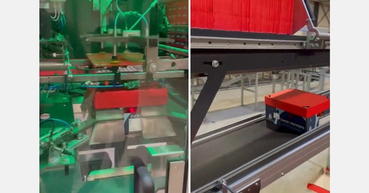 Paprika's verpakt met nieuwe dekselmachine
