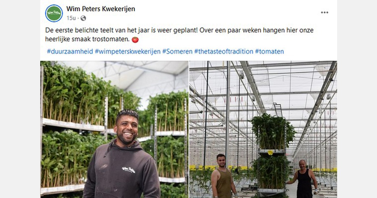 Wim Peters Kwekerijen