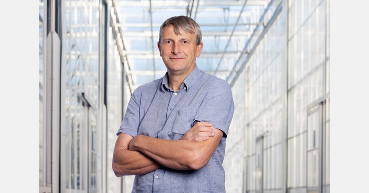 Vocht: vriend of vijand?