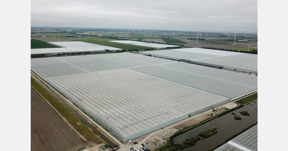 Ruim 1 miljoen vierkante meter kas in 8 fases