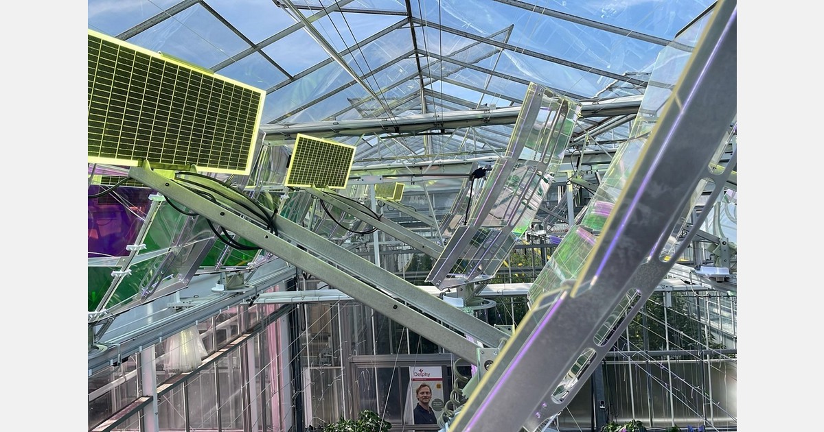 Piekvermogen zonnepanelen in kas: 145 Wp/m2