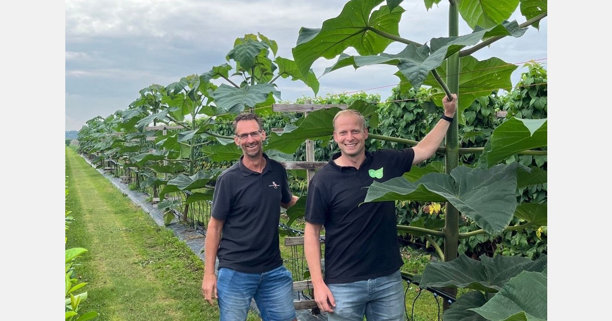 Open dag rond nieuwe teelt Van der Avoird Trayplant