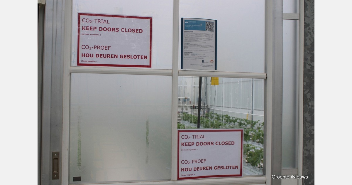 Eerste inzichten over inzet CO2 uit afvanginstallatie in komkommerteelt