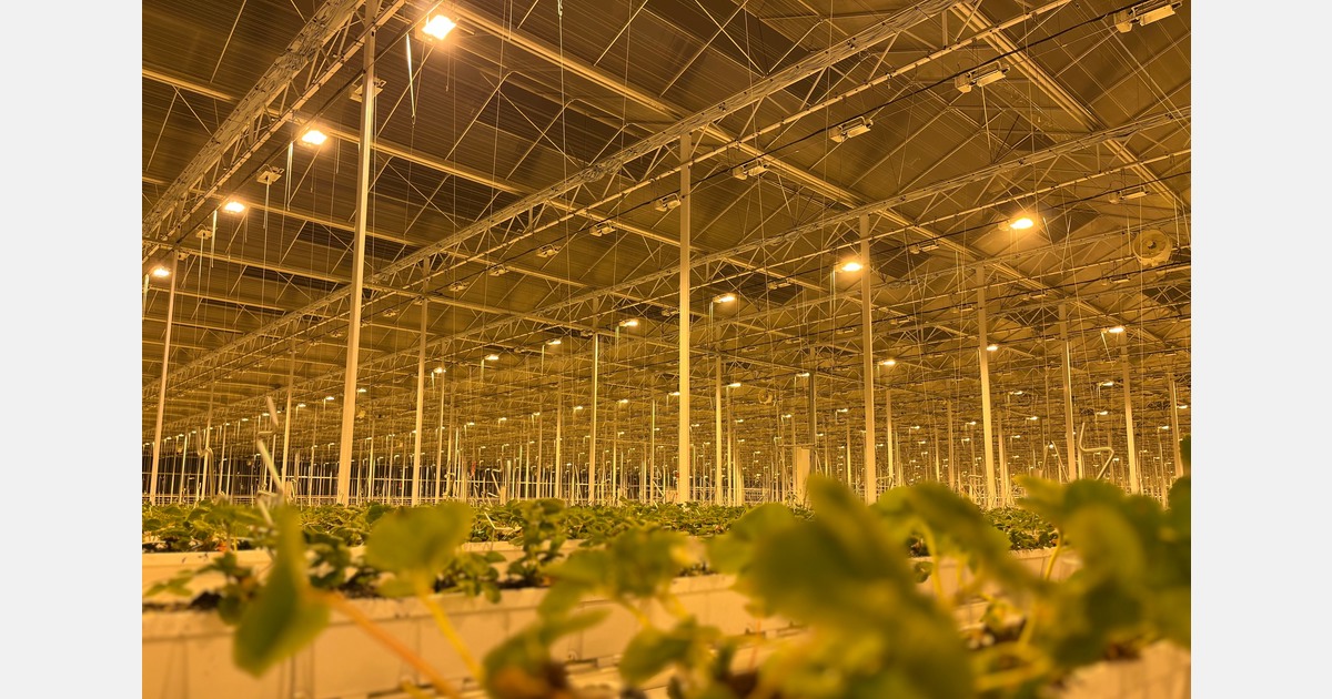 Atrium Agri wil groei versnellen met hulp private equity