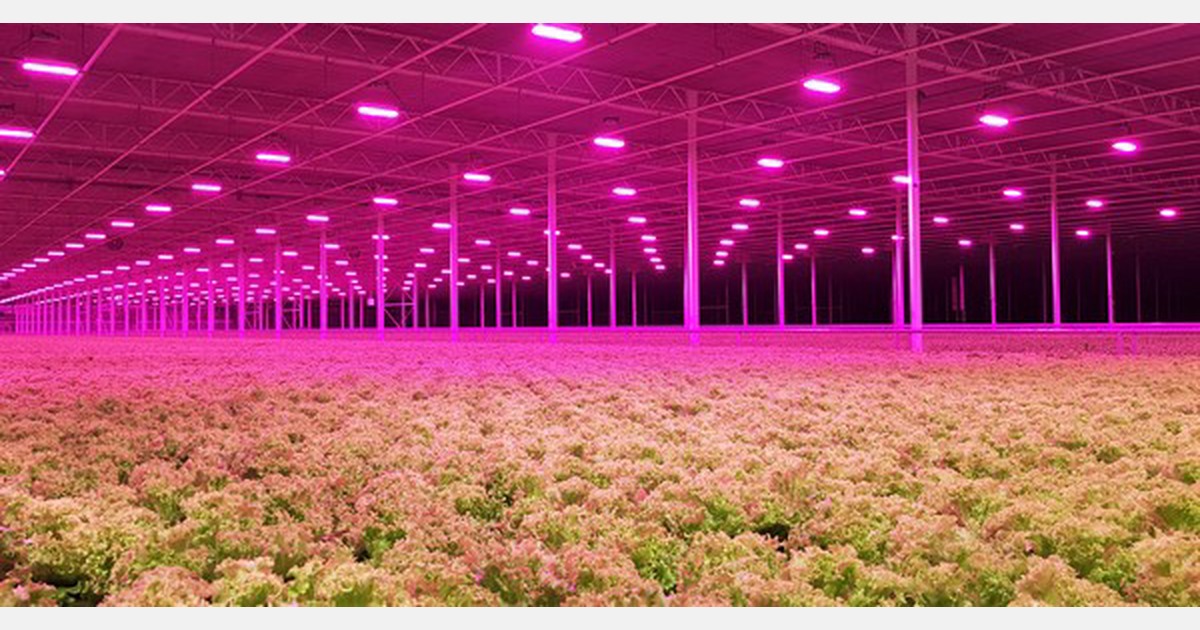 Midstream Lighting rondt overname Hyperion Grow af