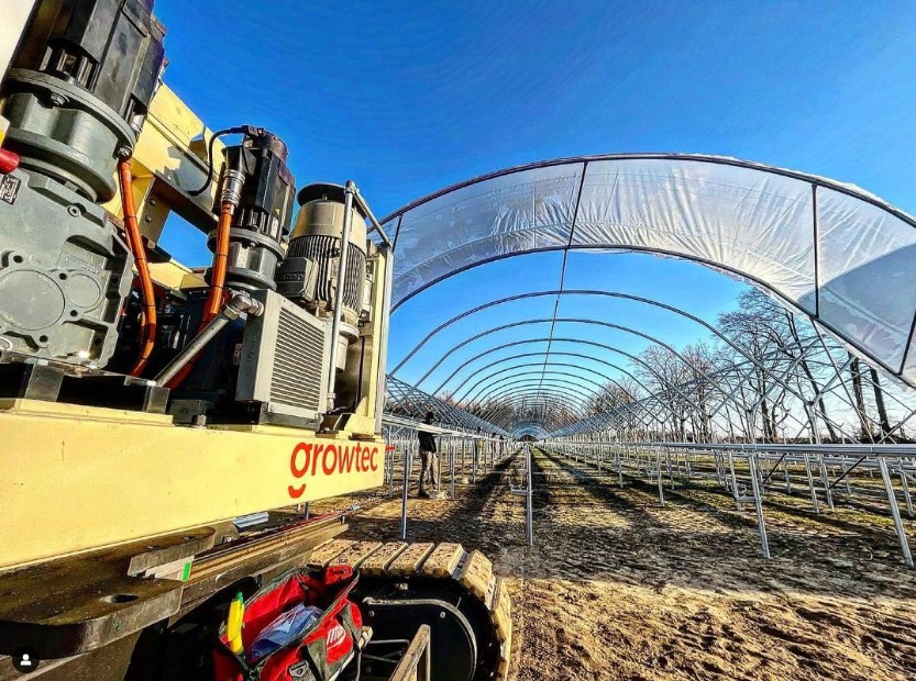 Efficiënte aardbeienteelt door combinatie kassen en tunnels