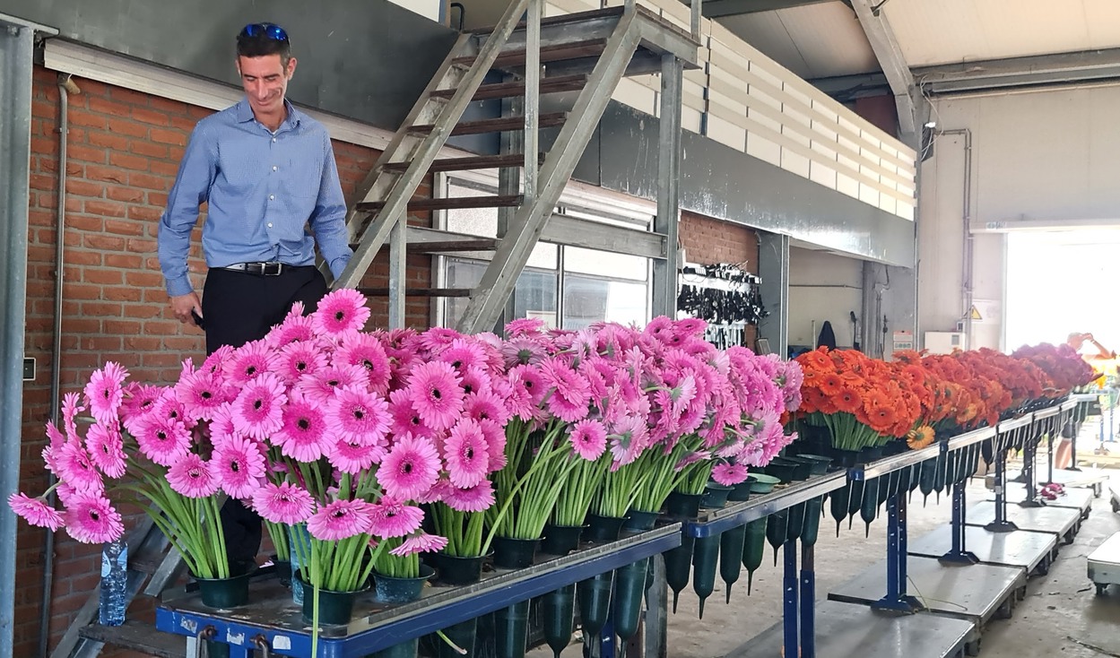 "Telers over de hele wereld melden energiebesparingen van gemiddeld 50%"