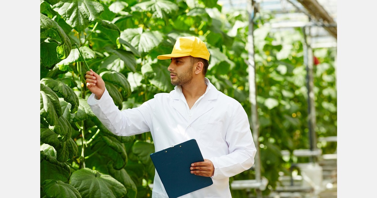 CSRD-uitstel tot 2028 definitief: wat betekent dit voor bedrijven?