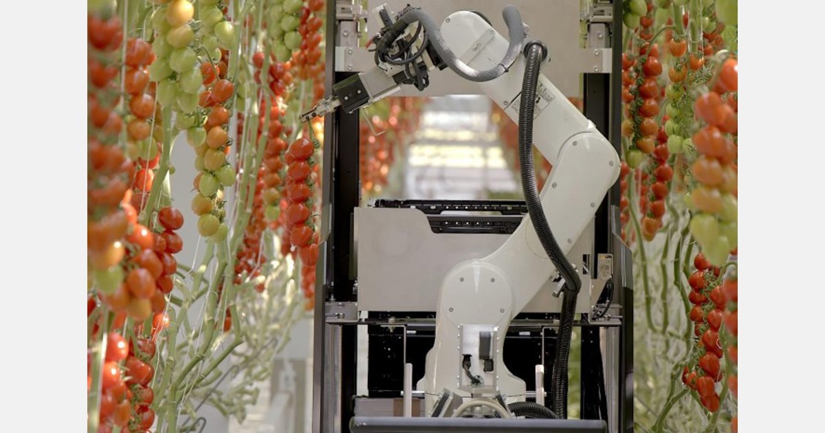 Robot en resistente rassen trekken de aandacht