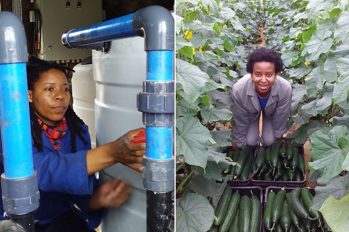 Twee vrouwelijke directeuren van het Zuid-Afrikaanse Dukathole Farm